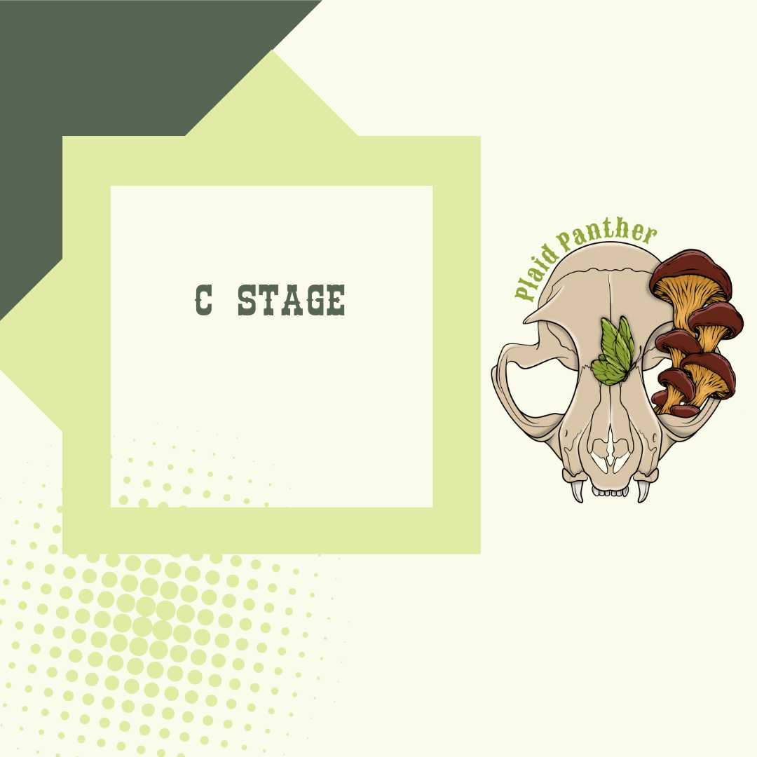 Designer-C Stage – Plaid Panther DTF Transfers
